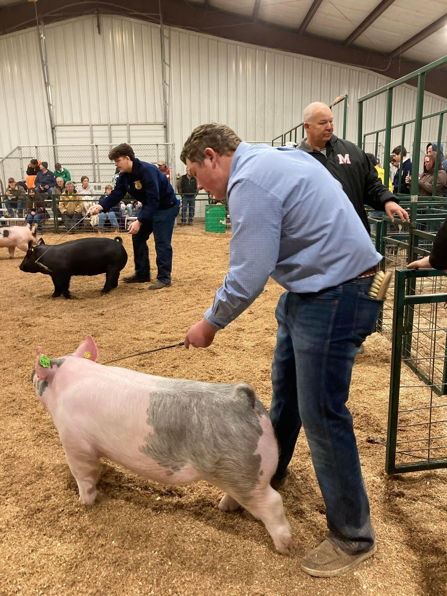 FFA, 4-H vie well in hog show - Eastern Times Register