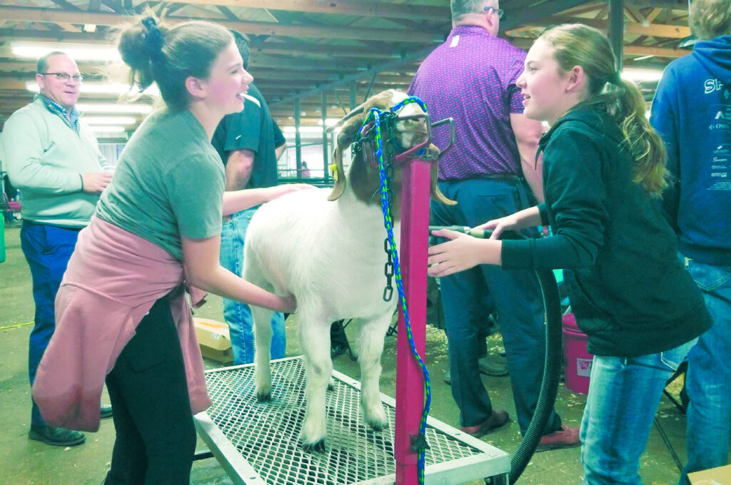 Dates set for 59th annual County Jr. Livestock Show - Eastern Times ...
