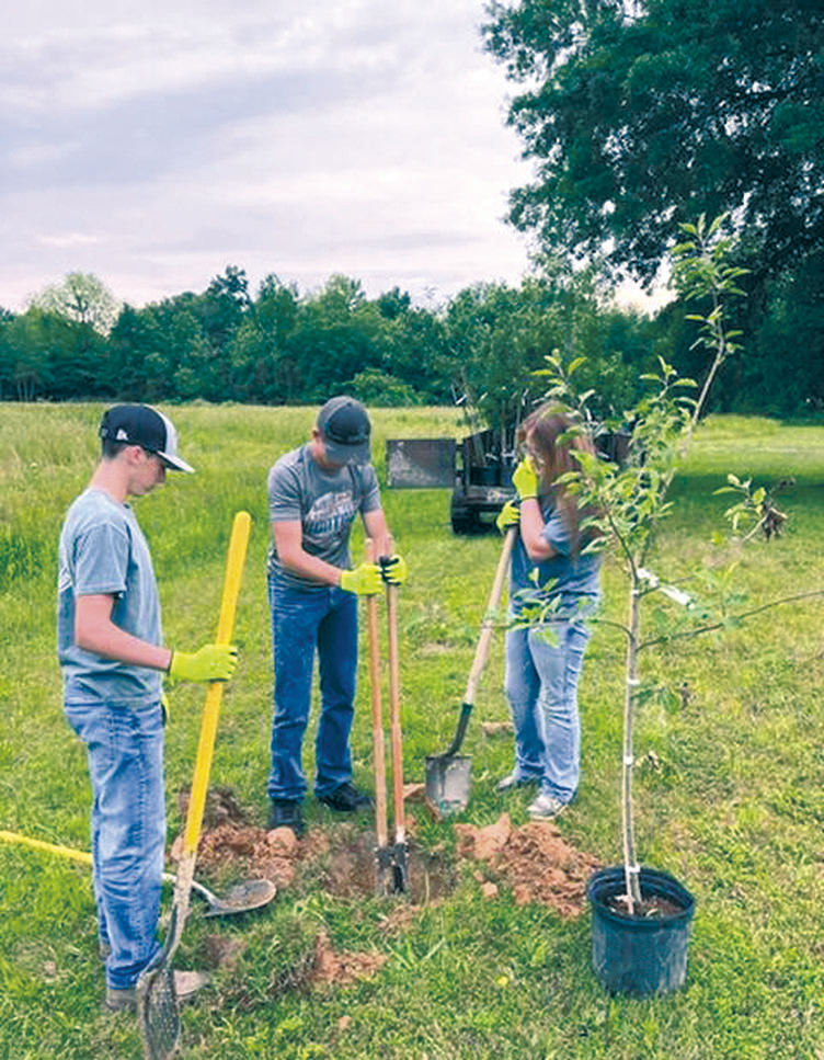 Roland FFA plants trees in park - Eastern Times Register