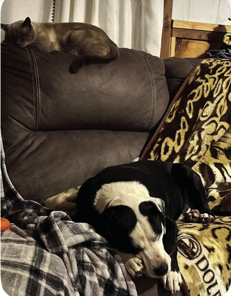 A smart New Year’s resolution for long-term care - Eastern Times Register